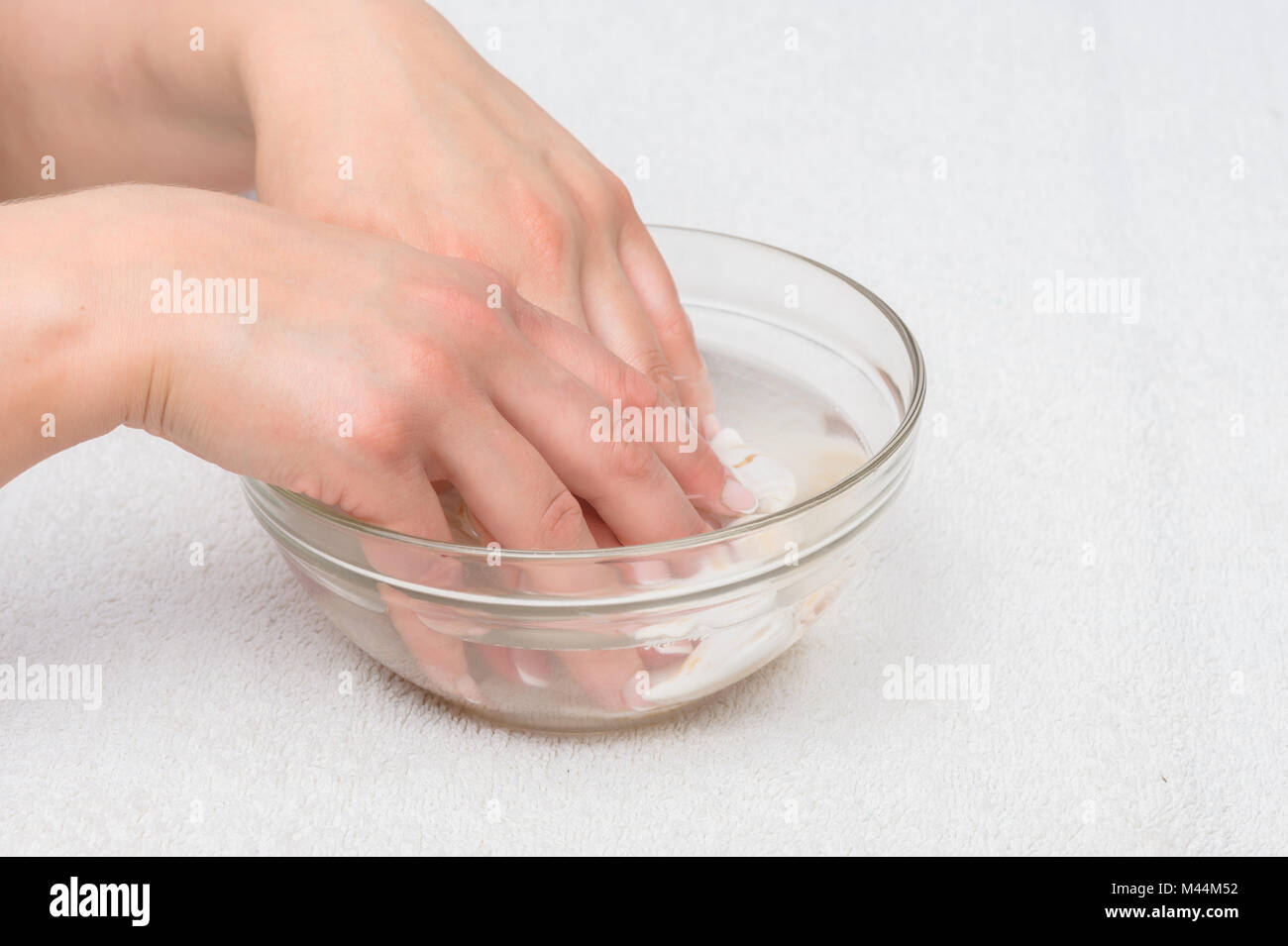 Shea shell hi-res stock photography and images - Alamy