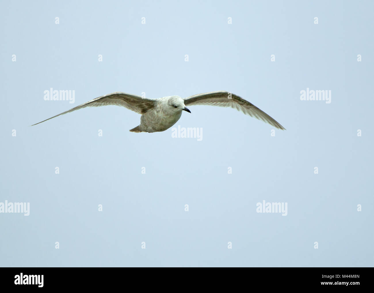 Vagrant hi-res stock photography and images - Alamy