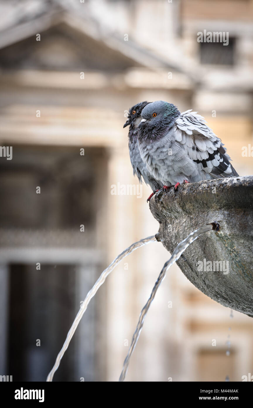 Drip fountain hi-res stock photography and images - Alamy