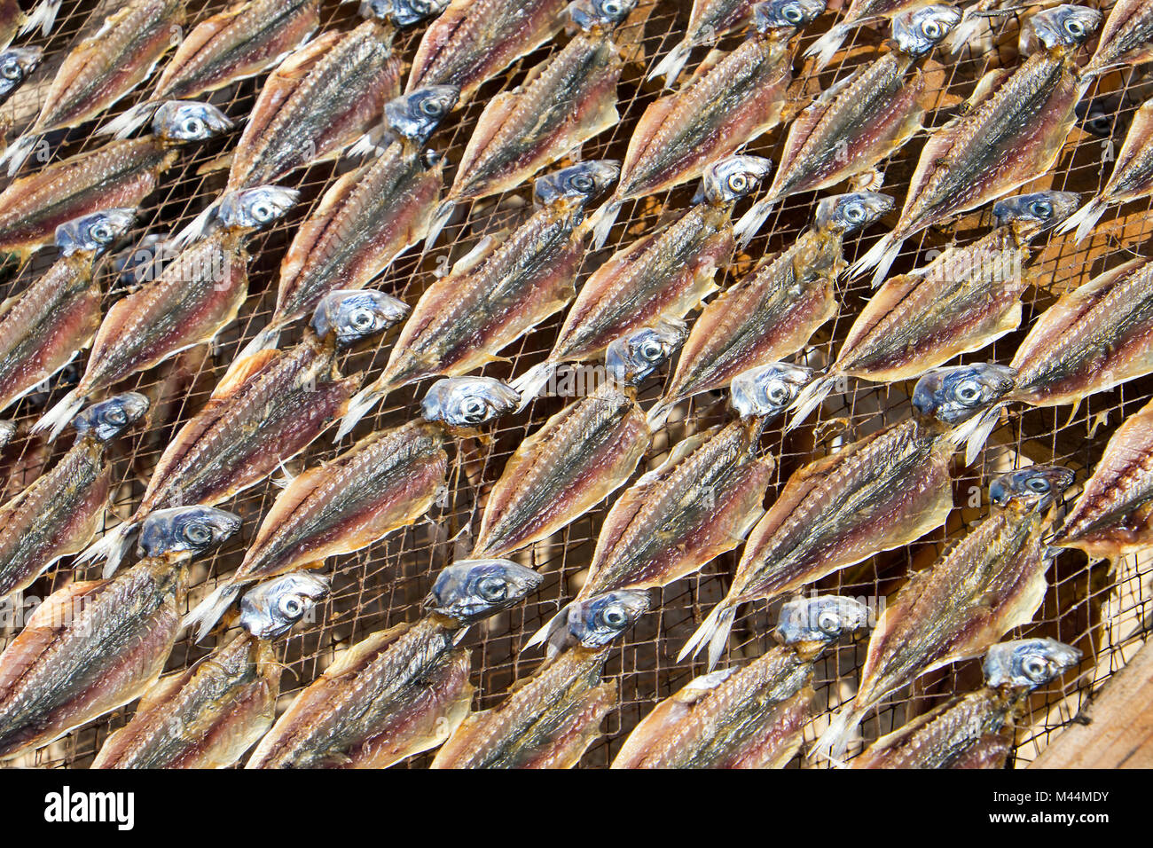 Portugal Fish Beach High Resolution Stock Photography and Images - Alamy