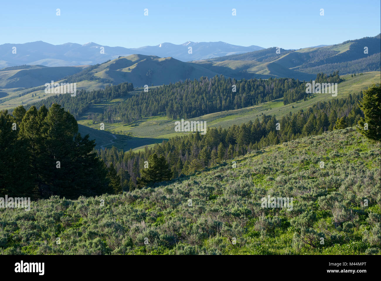 Lemhi Pass High Resolution Stock Photography and Images - Alamy