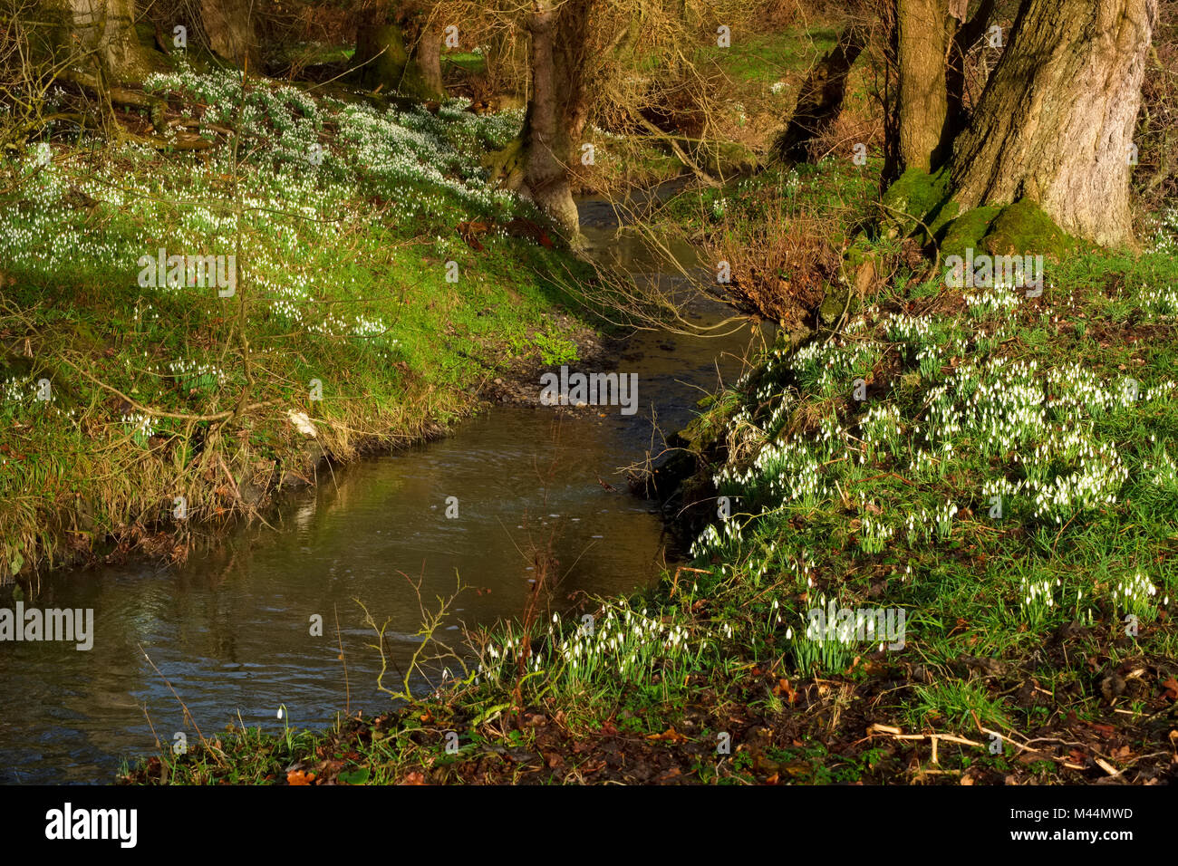 Cound shropshire hi-res stock photography and images - Alamy