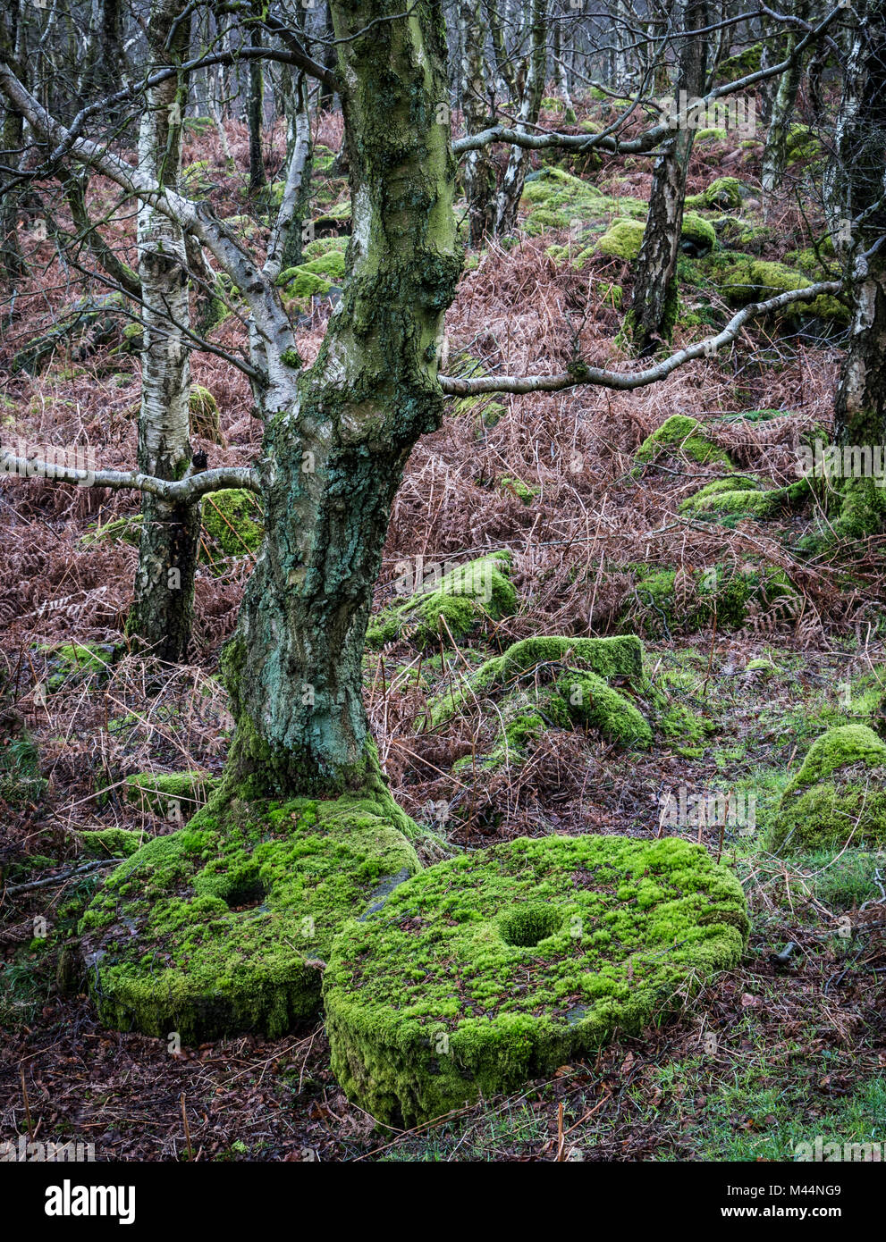 Padley mill hi-res stock photography and images - Alamy