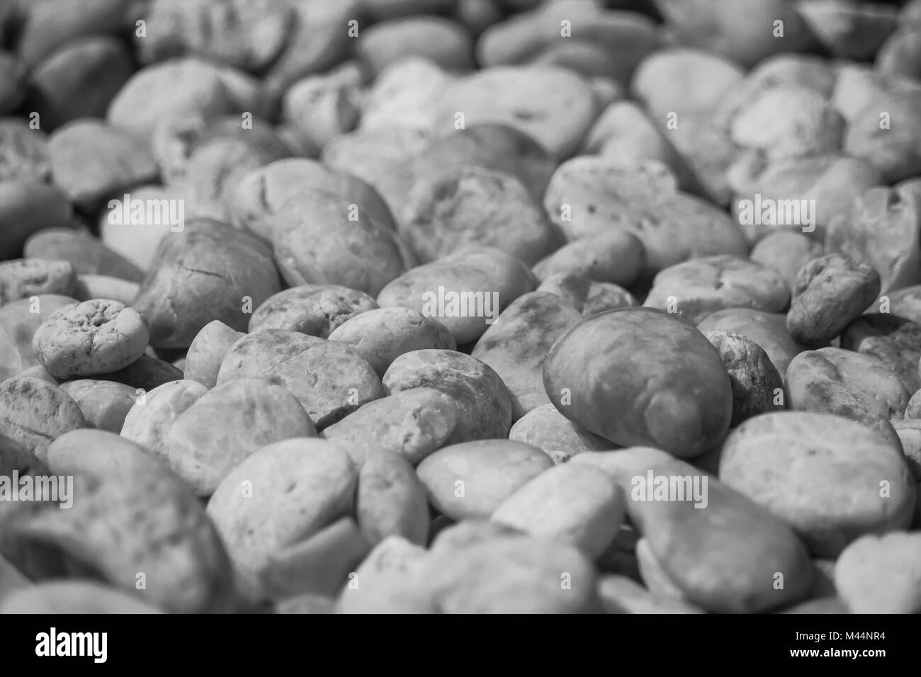 Garden ground view Black and White Stock Photos & Images - Alamy