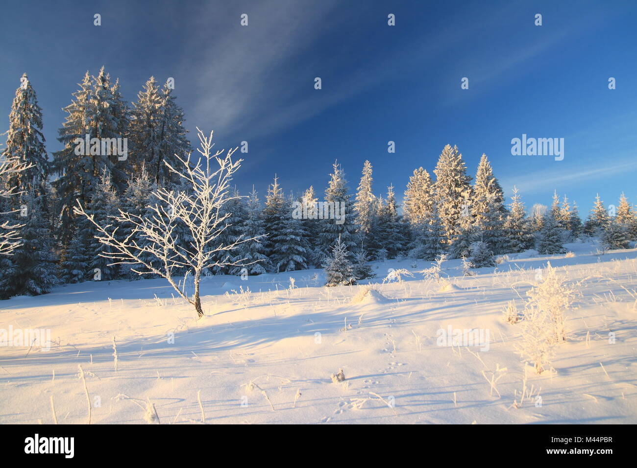 Winter snowy landscape on mountain Stock Photo - Alamy