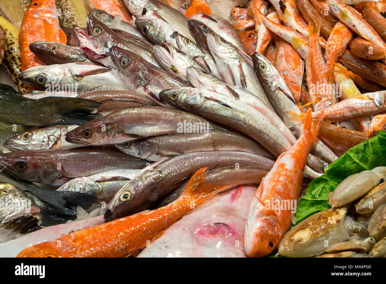 Different kinds of fish for sale at a market Stock Photo - Alamy