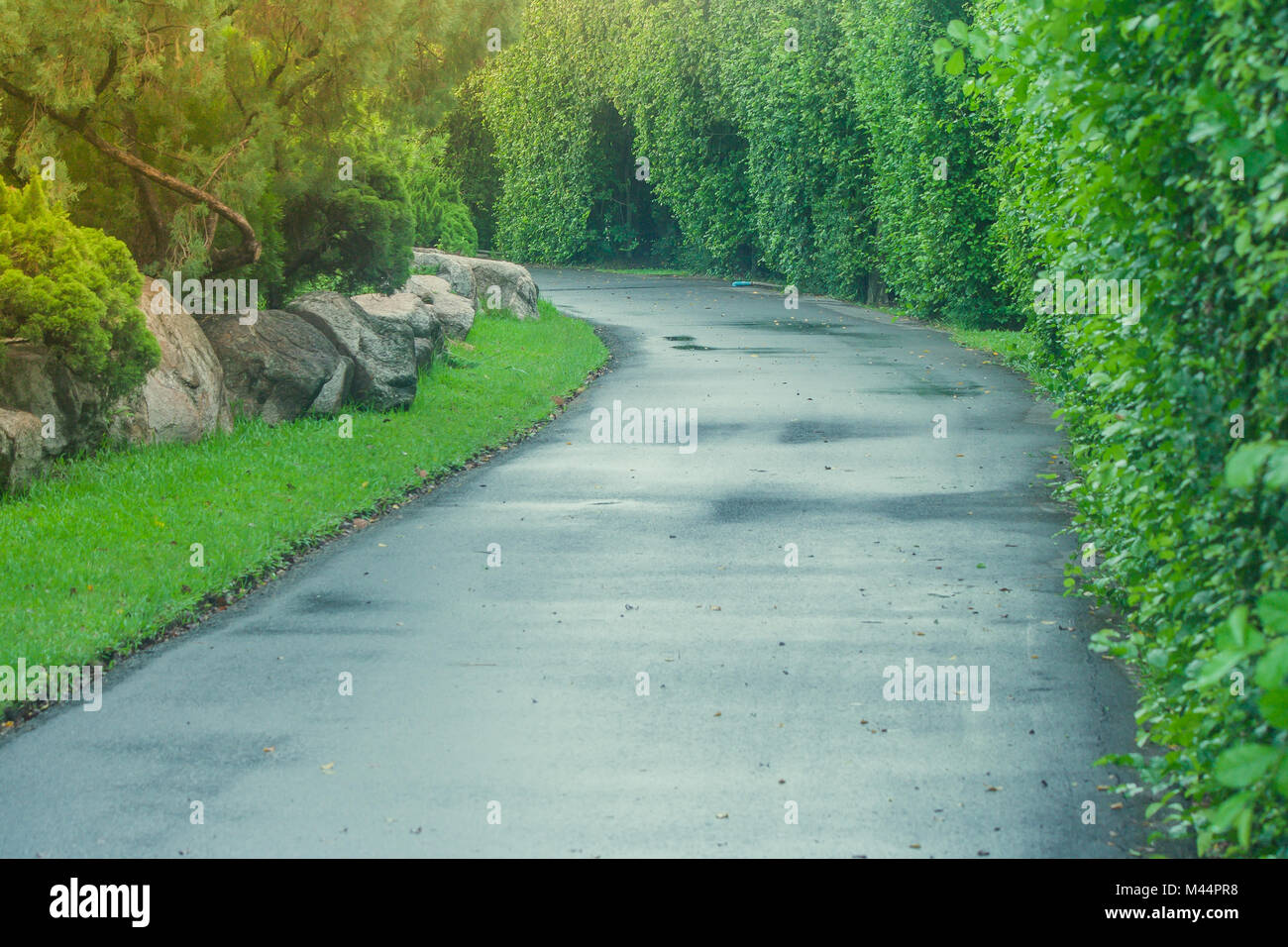 Beautiful view pathway or walkway in public park surrounded with green ...