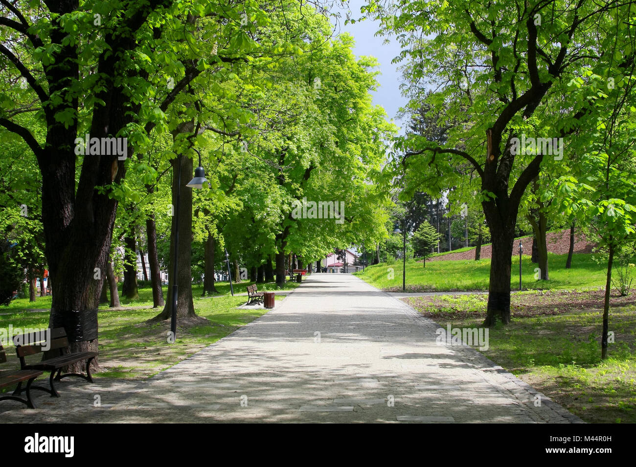 Spring park in city hi-res stock photography and images - Alamy