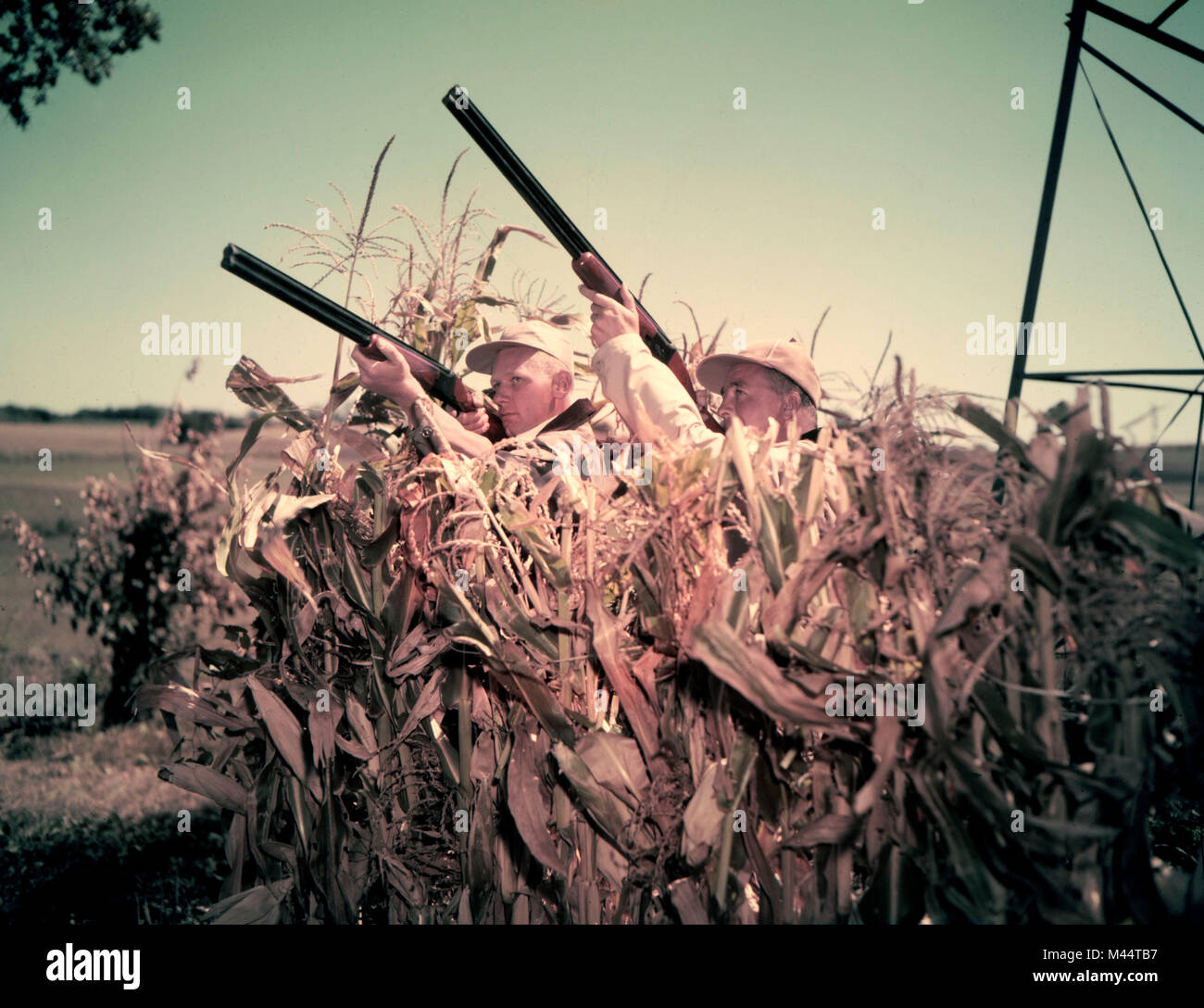Hunting gun hi-res stock photography and images - Alamy