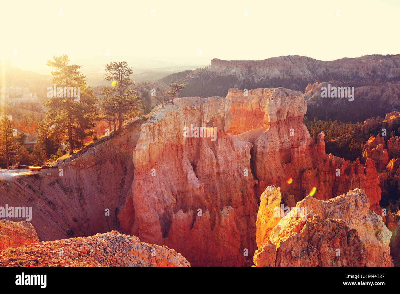 Picturesque colorful pink rocks of the Bryce Canyon National park in ...