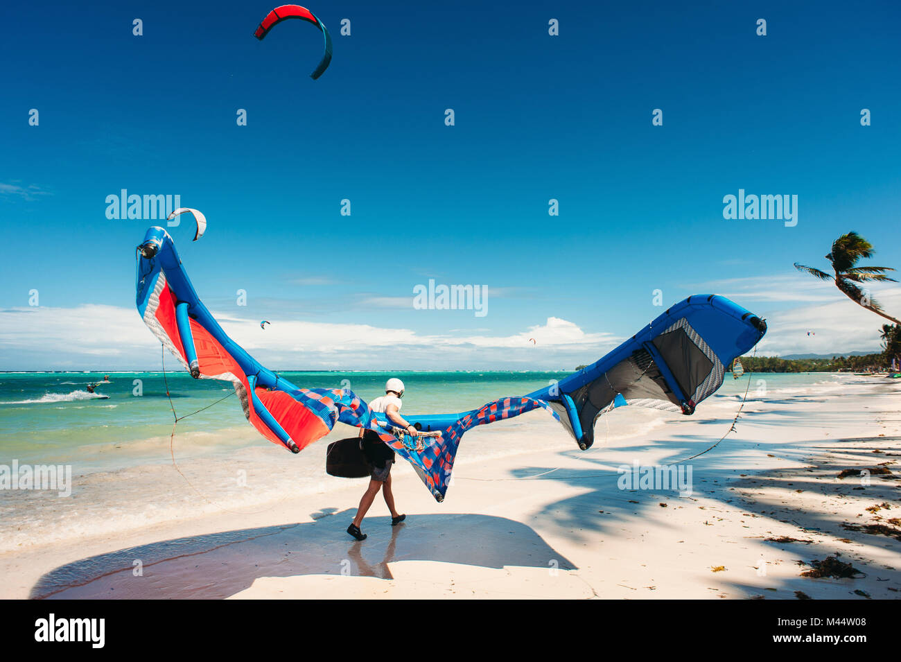 Kite surfing. Kite surfer walking on the beach with a kite in hand ...