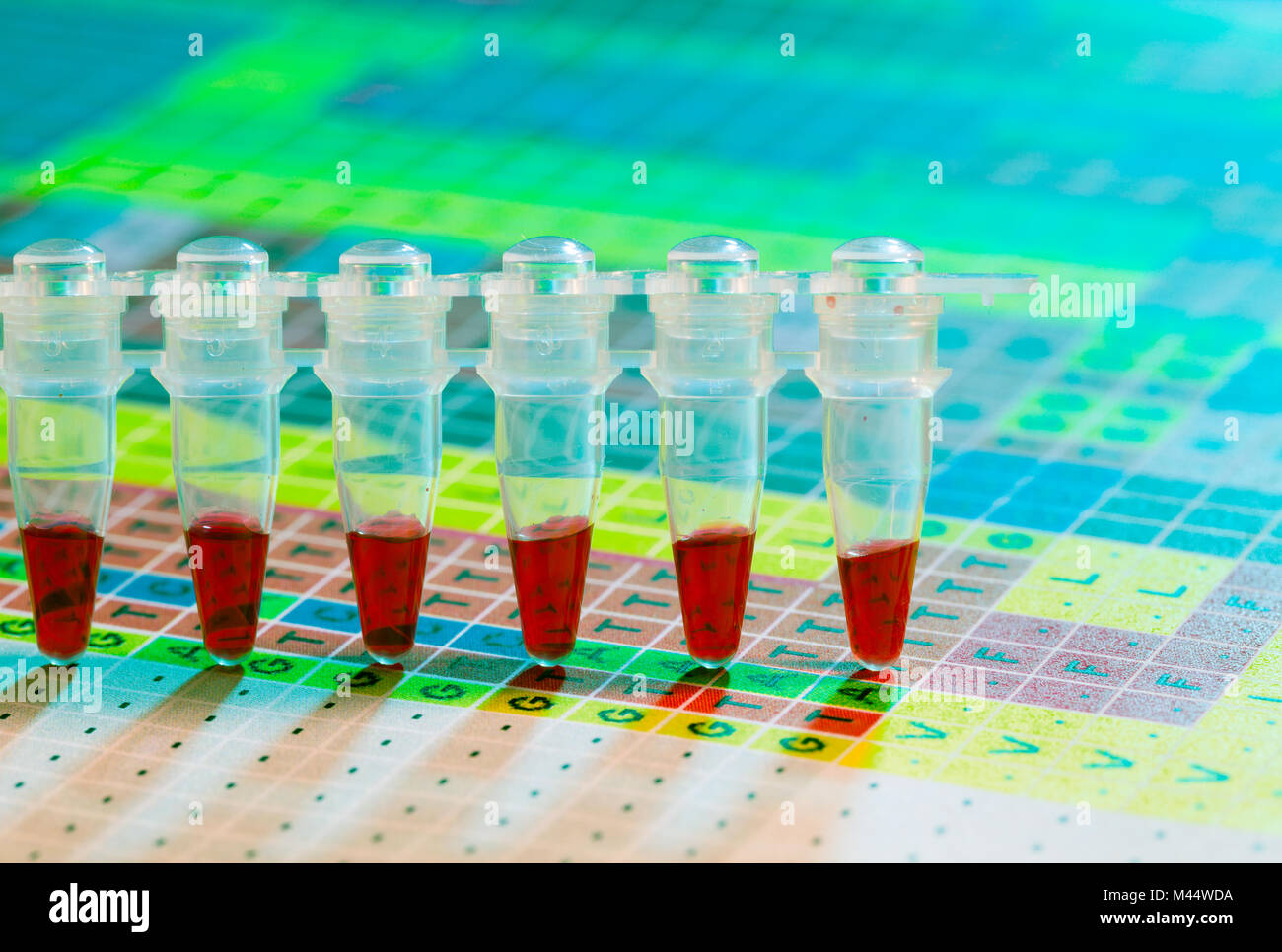 PCR 8 Tube Strips Stock Photo - Alamy
