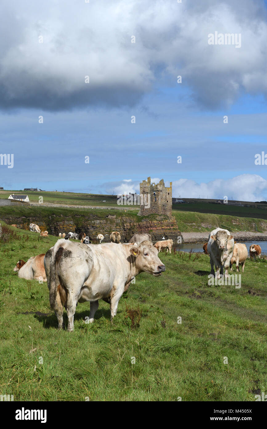 Keiss Castle Stock Photos & Keiss Castle Stock Images - Alamy