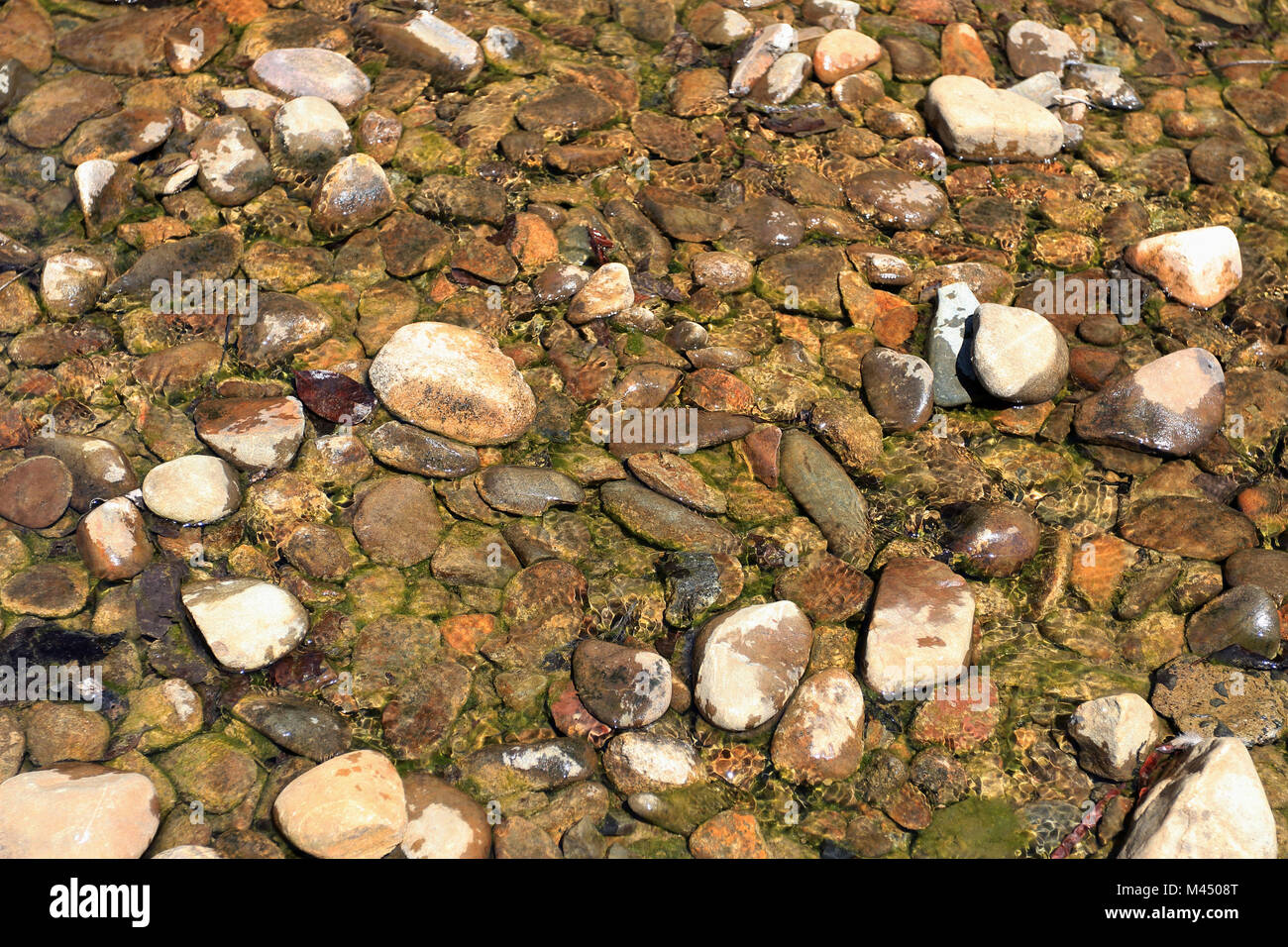 Transparent pebbles hi-res stock photography and images - Alamy