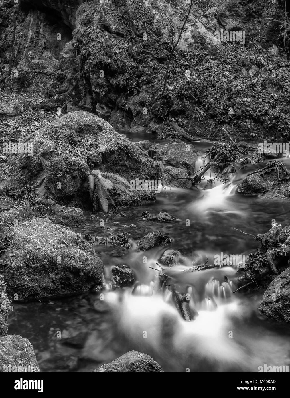 Monochrome outdoor long exposure of a crystal clear small stream/creek ...