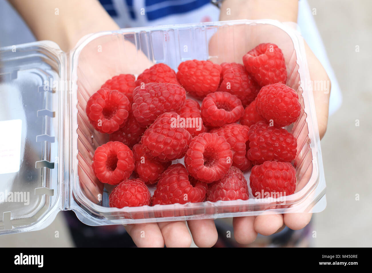 Hand holding a punnet of fresh raspberries isolated Stock Photo - Alamy