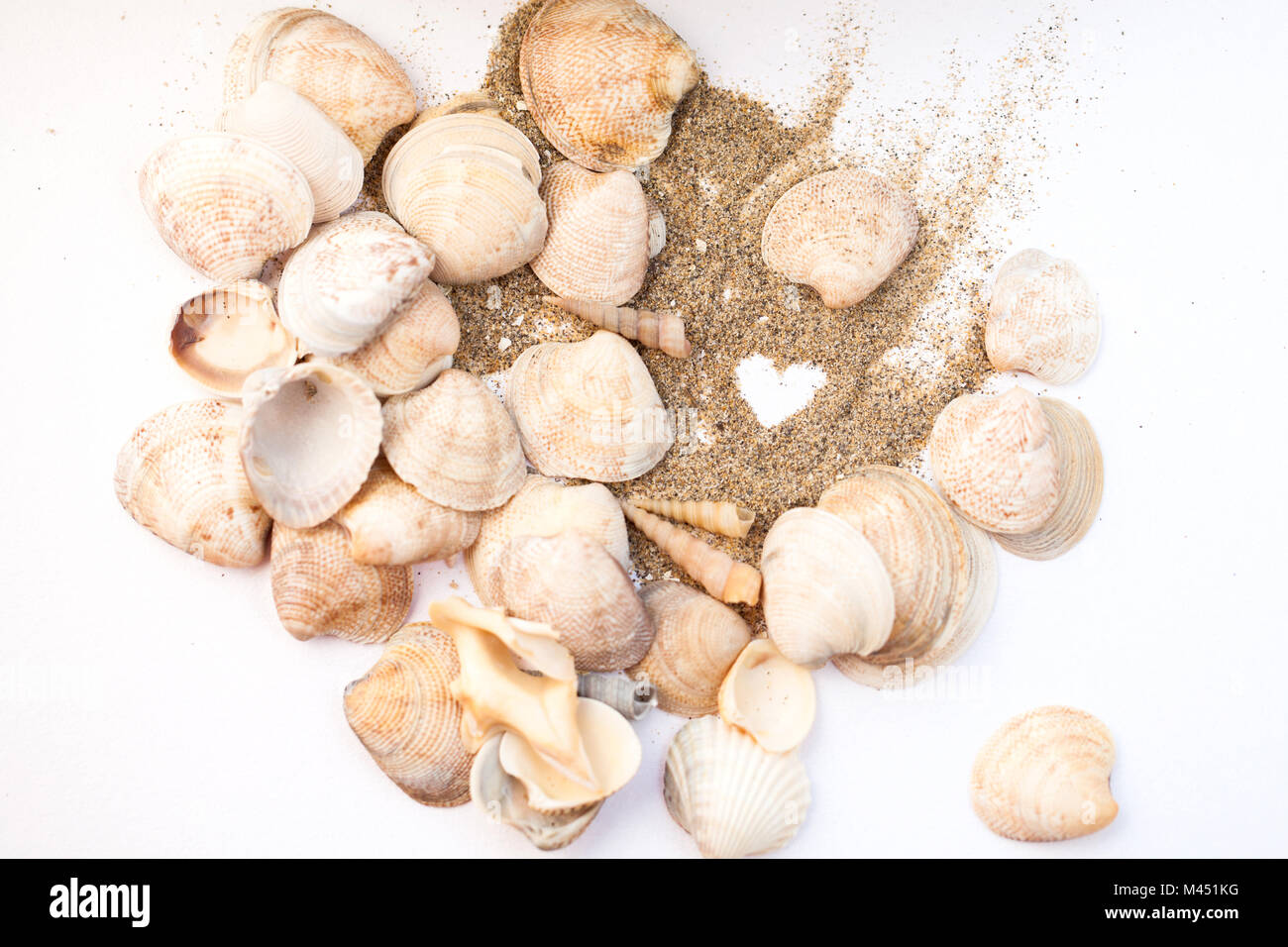 Love shells hi-res stock photography and images - Alamy