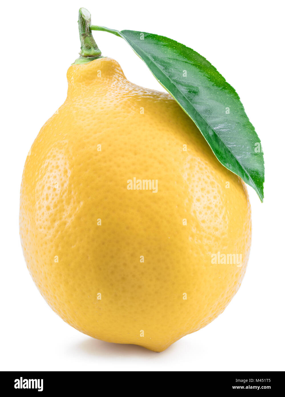 Ripe lemon fruit with lemon leaf on white background Stock Photo - Alamy