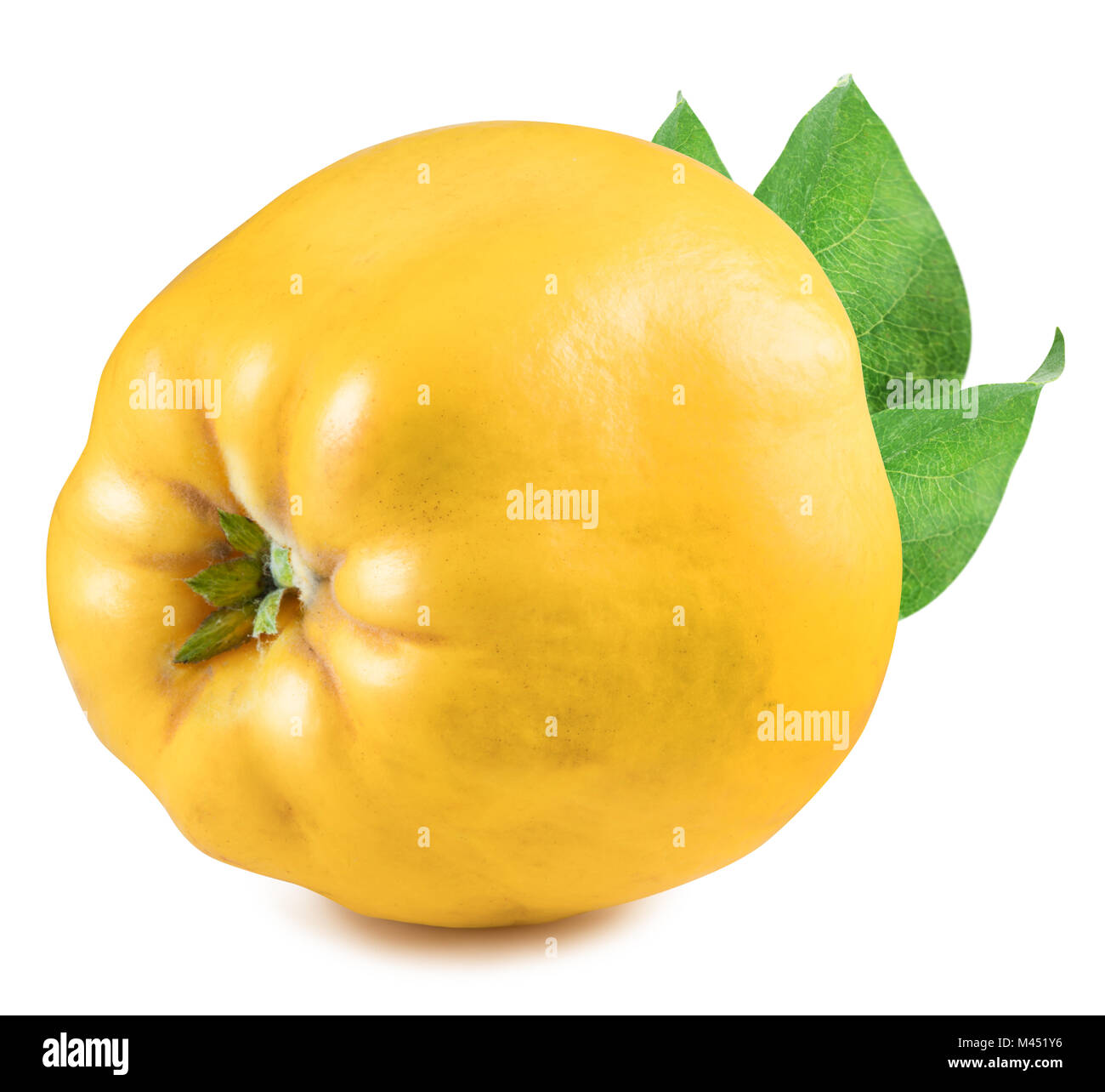 Apple quince hi-res stock photography and images - Alamy