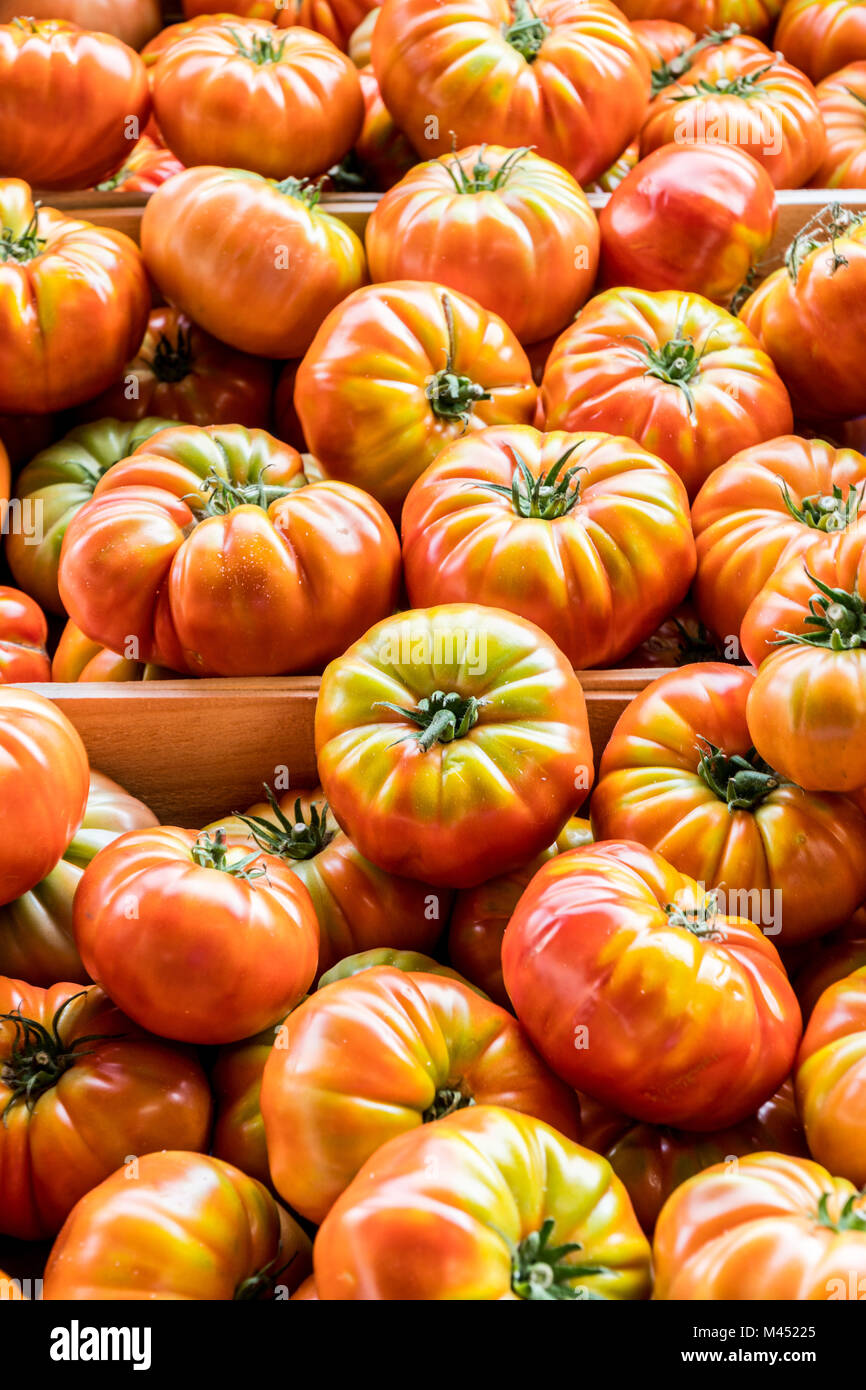 Lots of tomatoes. Top view Stock Photo - Alamy