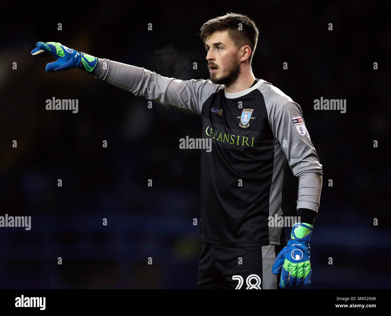 Sheffield Wednesday goalkeeper Joe Wildsmith Stock Photo - Alamy