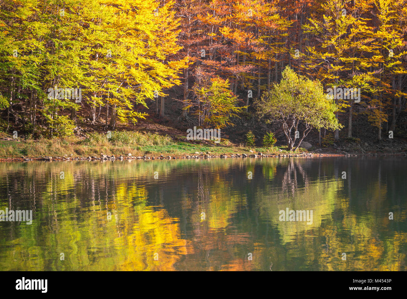 Lago scale hi-res stock photography and images - Alamy