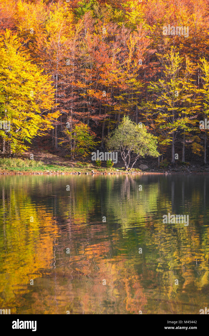 Lago Scale High Resolution Stock Photography and Images - Alamy