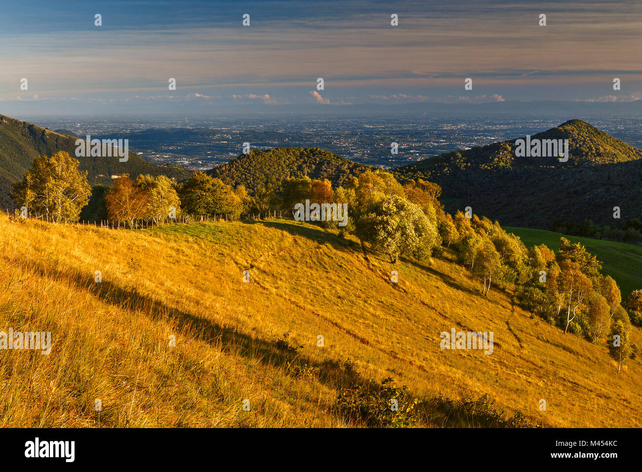 Colma High Resolution Stock Photography and Images - Alamy