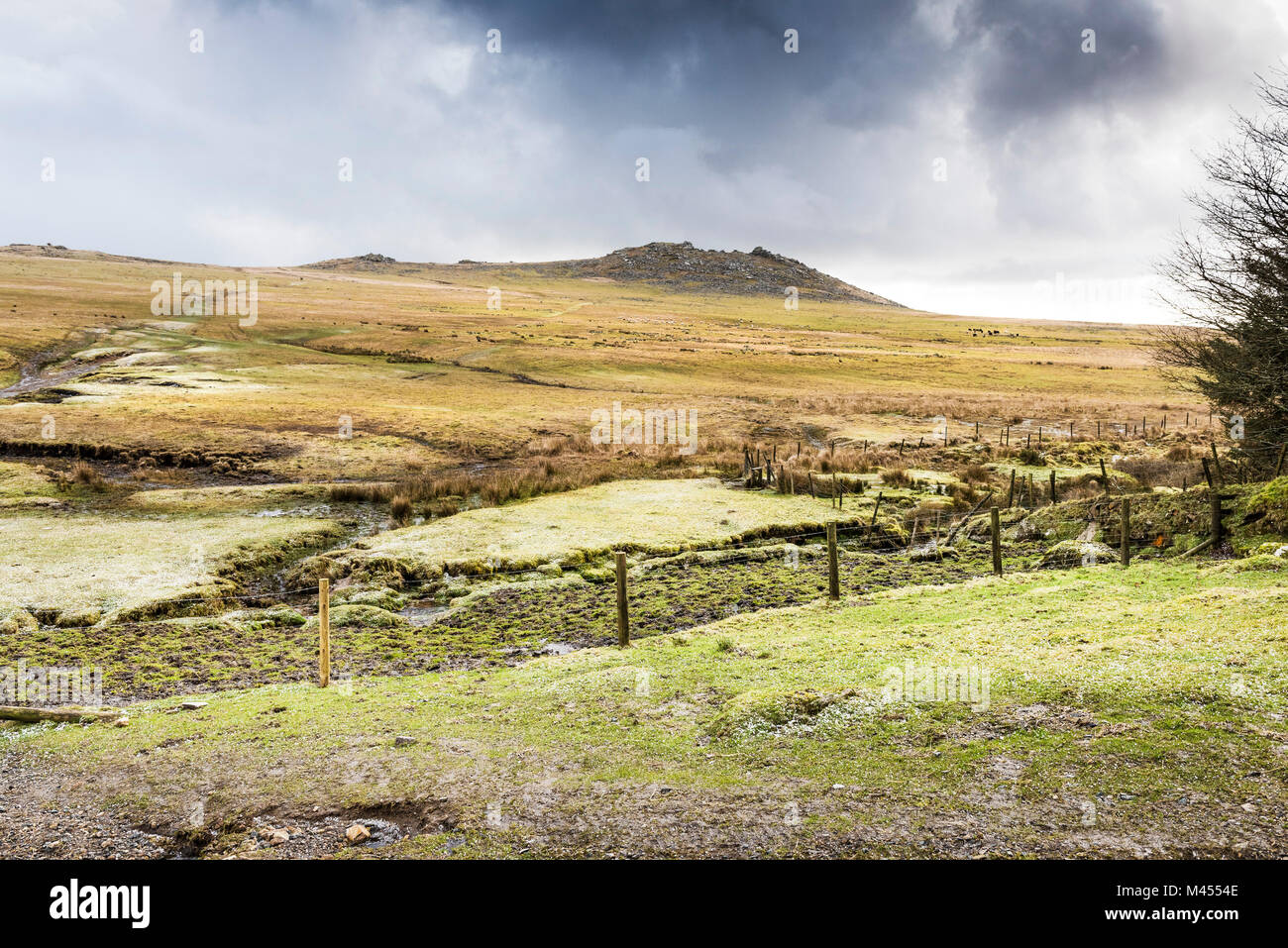 Cornwall landscape hi-res stock photography and images - Alamy