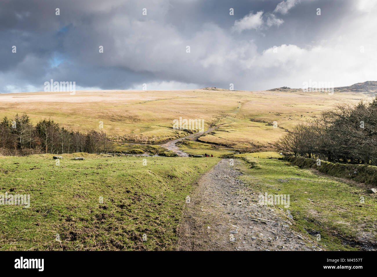 Rough Tor on Bodmin Moor in Cornwall Stock Photo - Alamy