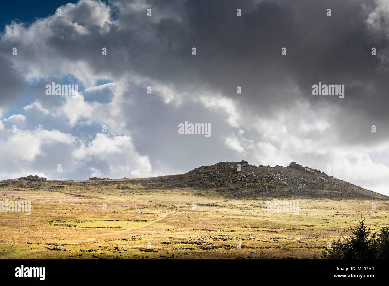 Rough Tor Rocks High Resolution Stock Photography and Images - Alamy