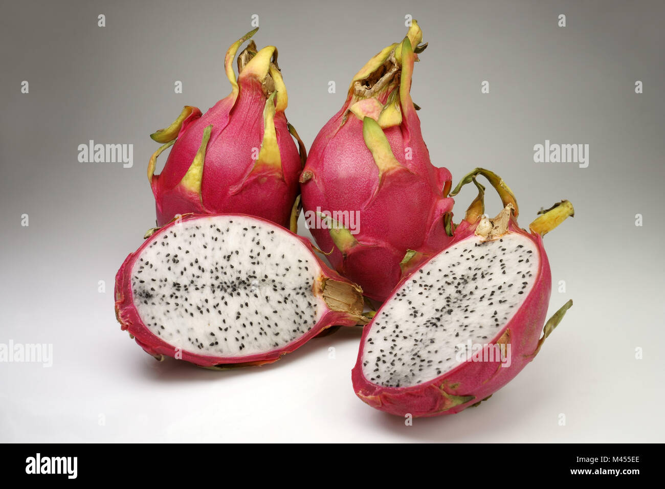 Healthy properties hi-res stock photography and images - Alamy