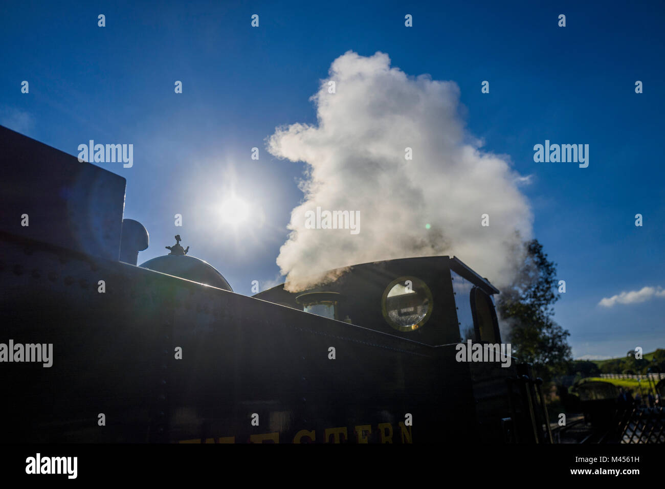 Vale of Rheidol railway Devils Bridge Station Wales UK Stock Photo - Alamy