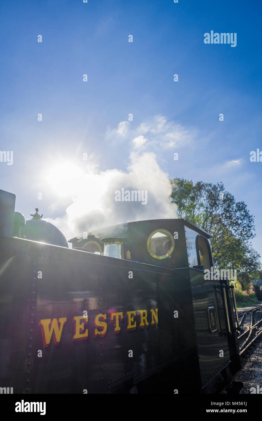 Vale of Rheidol railway Devils Bridge Station Wales UK Stock Photo - Alamy