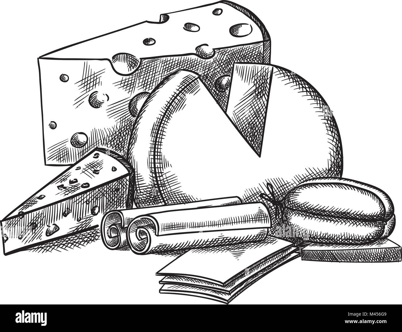 Creative conceptual vector. Sketch hand drawn cheese illustration ...