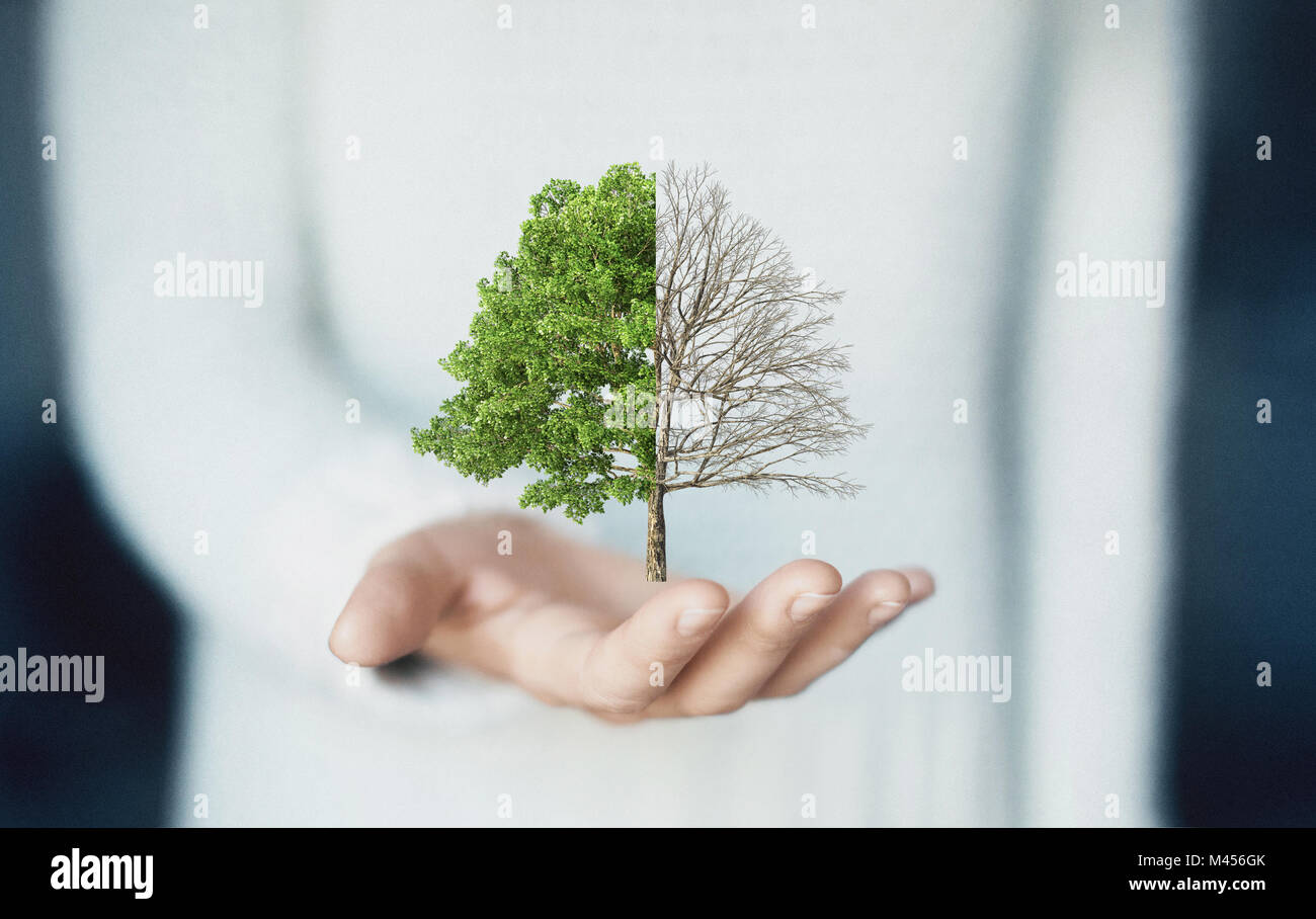 Tree on hand, green energy, ecology Stock Photo - Alamy
