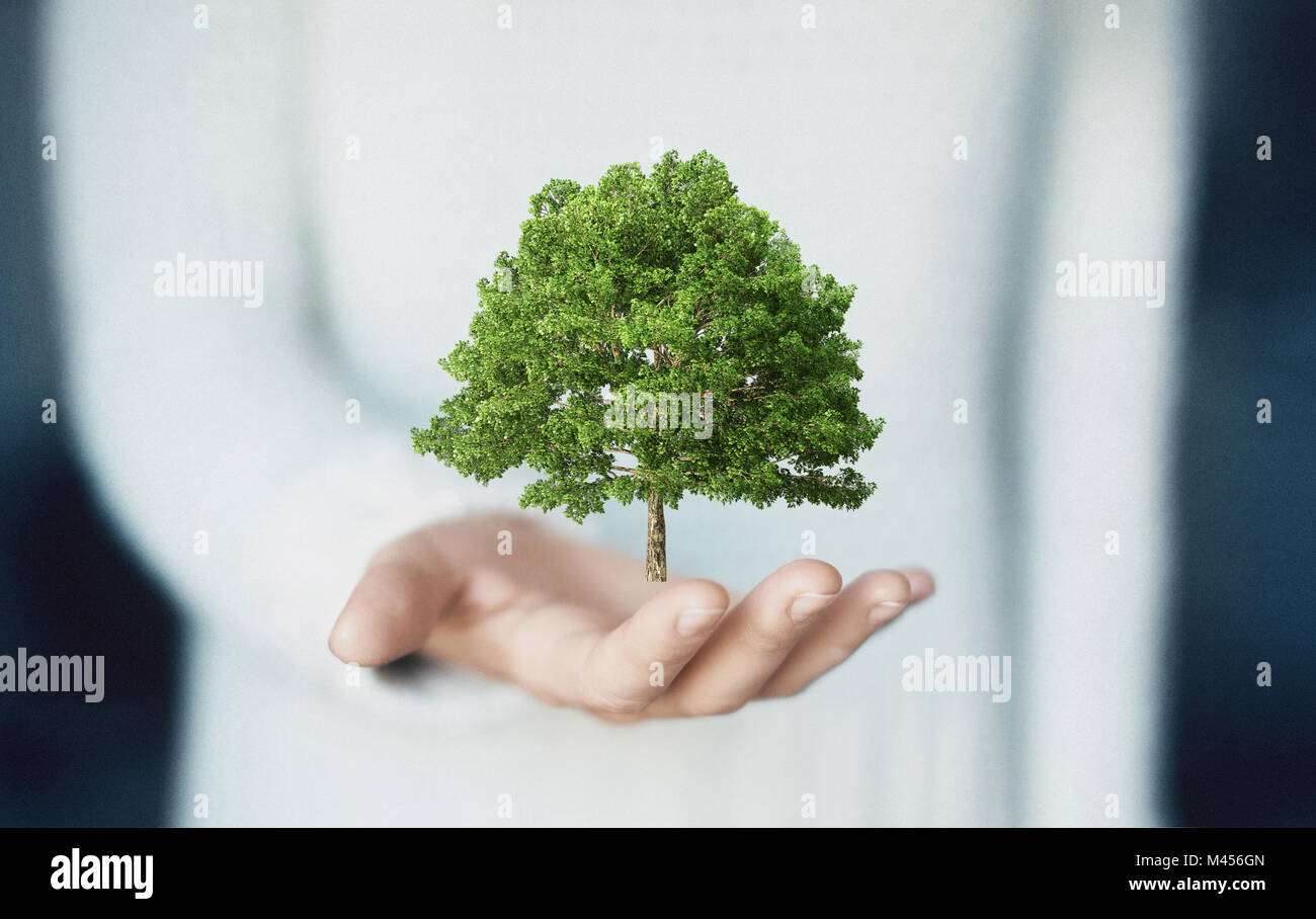 Tree hand leaves hi-res stock photography and images - Alamy