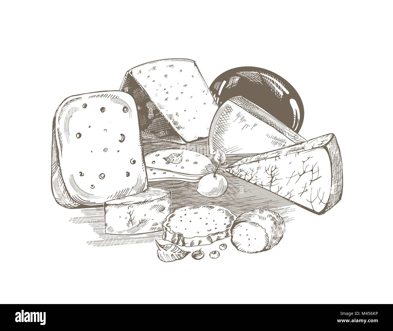 Creative conceptual vector. Sketch hand drawn cheese illustration ...