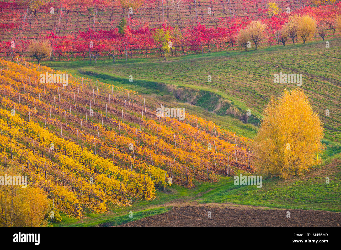 The countryside near Castelvetro, Modena Province, Emilia Romagna ...