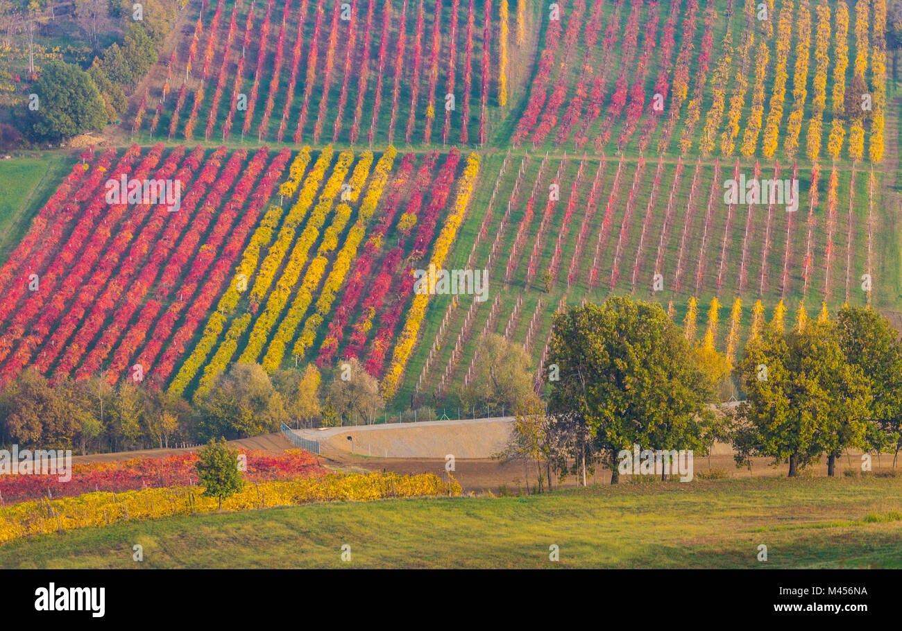 The countryside near Castelvetro, Modena Province, Emilia Romagna ...