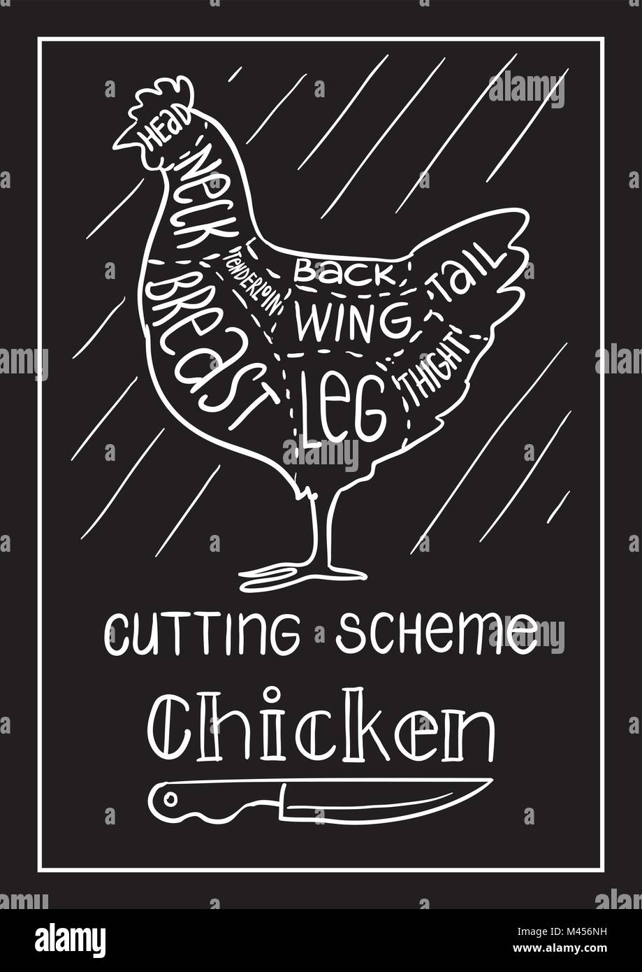 Creative conceptual vector. Sketch hand drawn chicken meat at butchers ...
