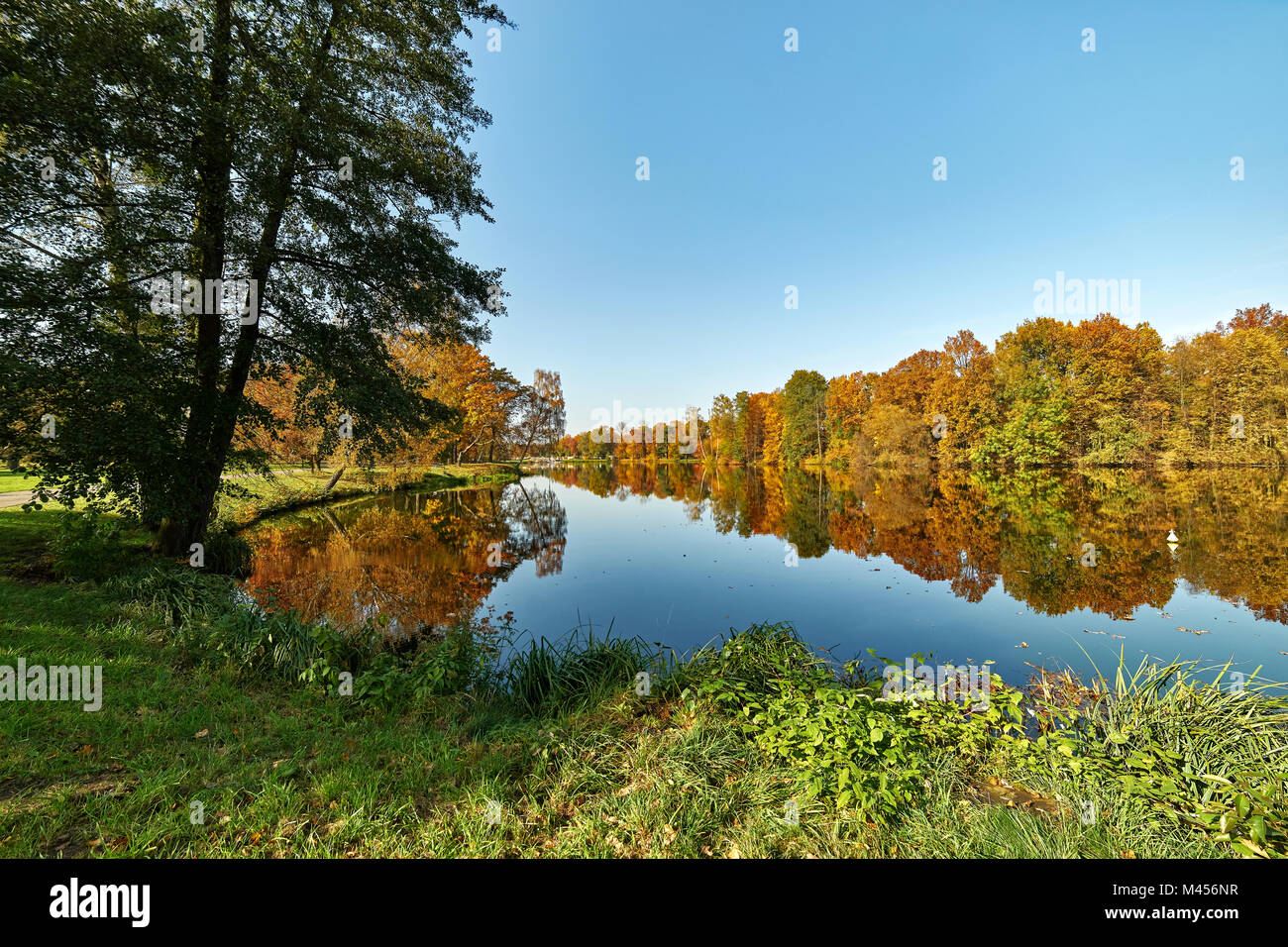 Sunny autumn landscape - a park in golden colors, a picturesque pond ...