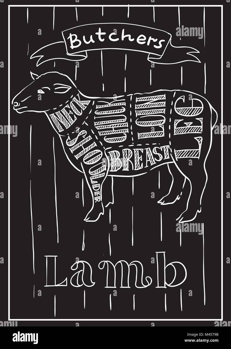 Creative conceptual vector. Sketch hand drawn lamb meat at butchers ...