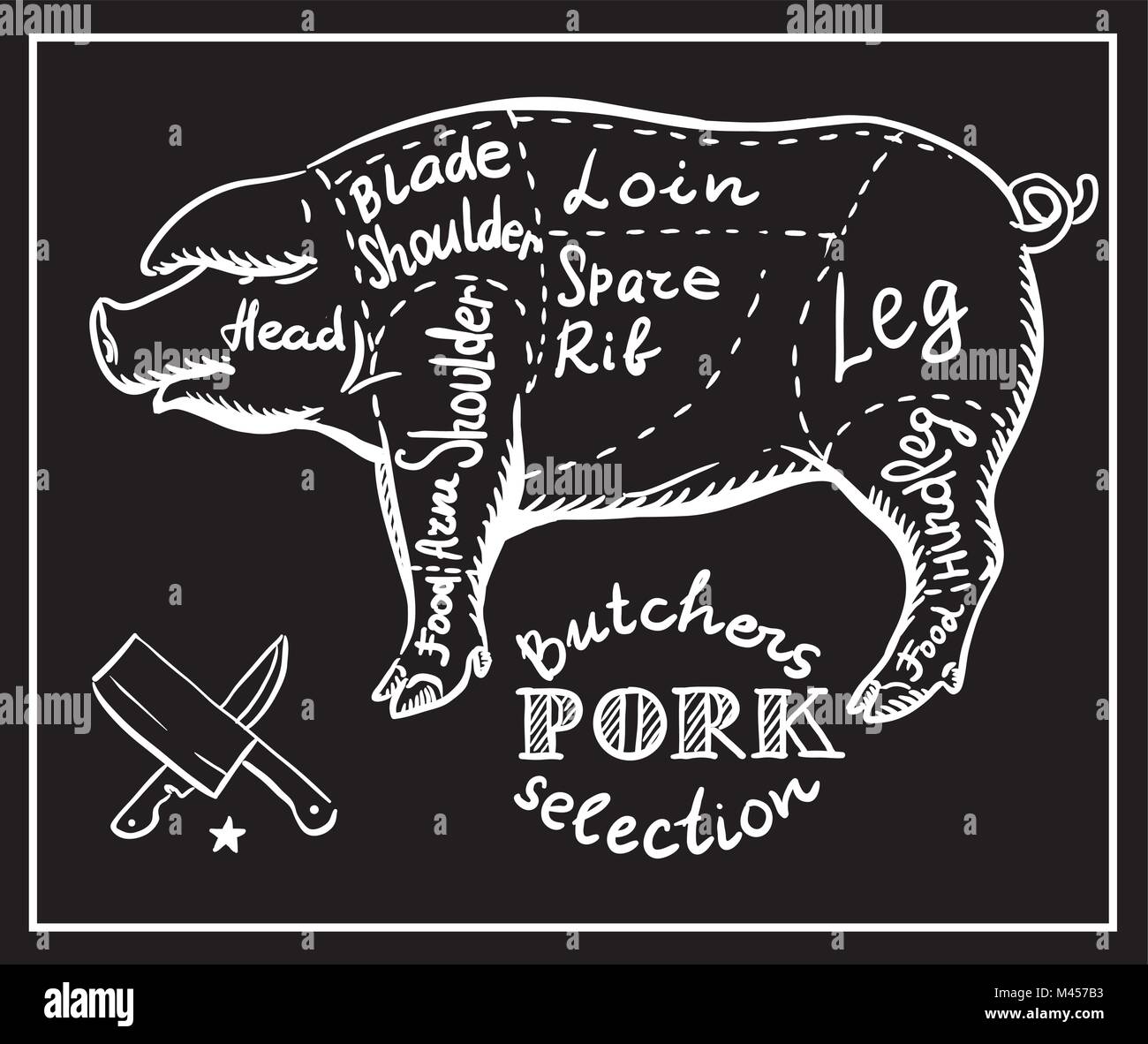 Creative conceptual vector. Sketch hand drawn pork meat at butchers ...