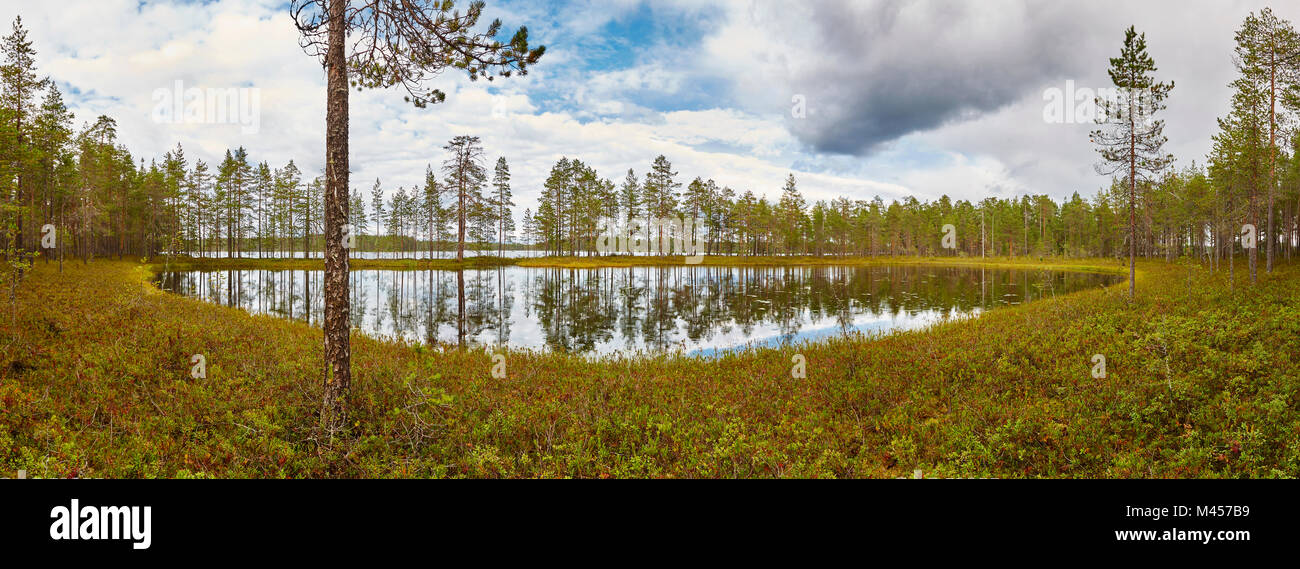 Finland panoramic landscape with forest and lake. Finnish environment ...