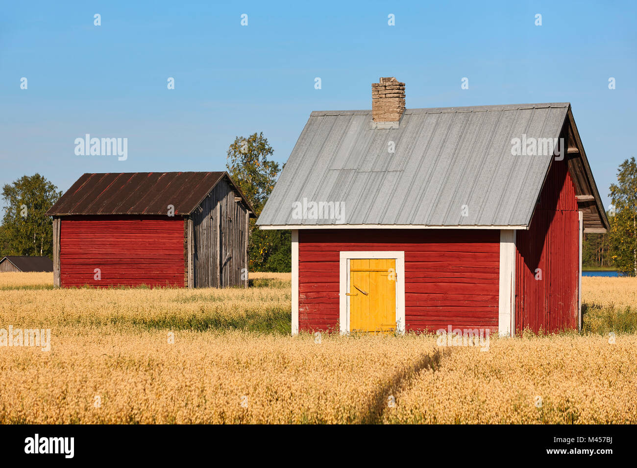 Traditional finnish red wooden farms in the countryside. Finland Stock ...