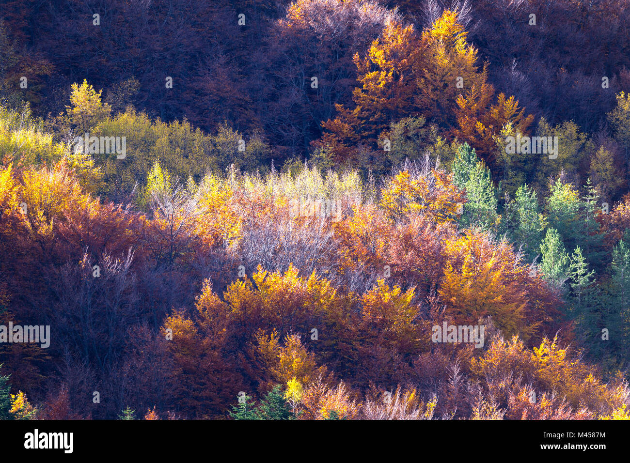 The colors of Autumn in Gran Sasso National Park, Fonte Cerreto village ...