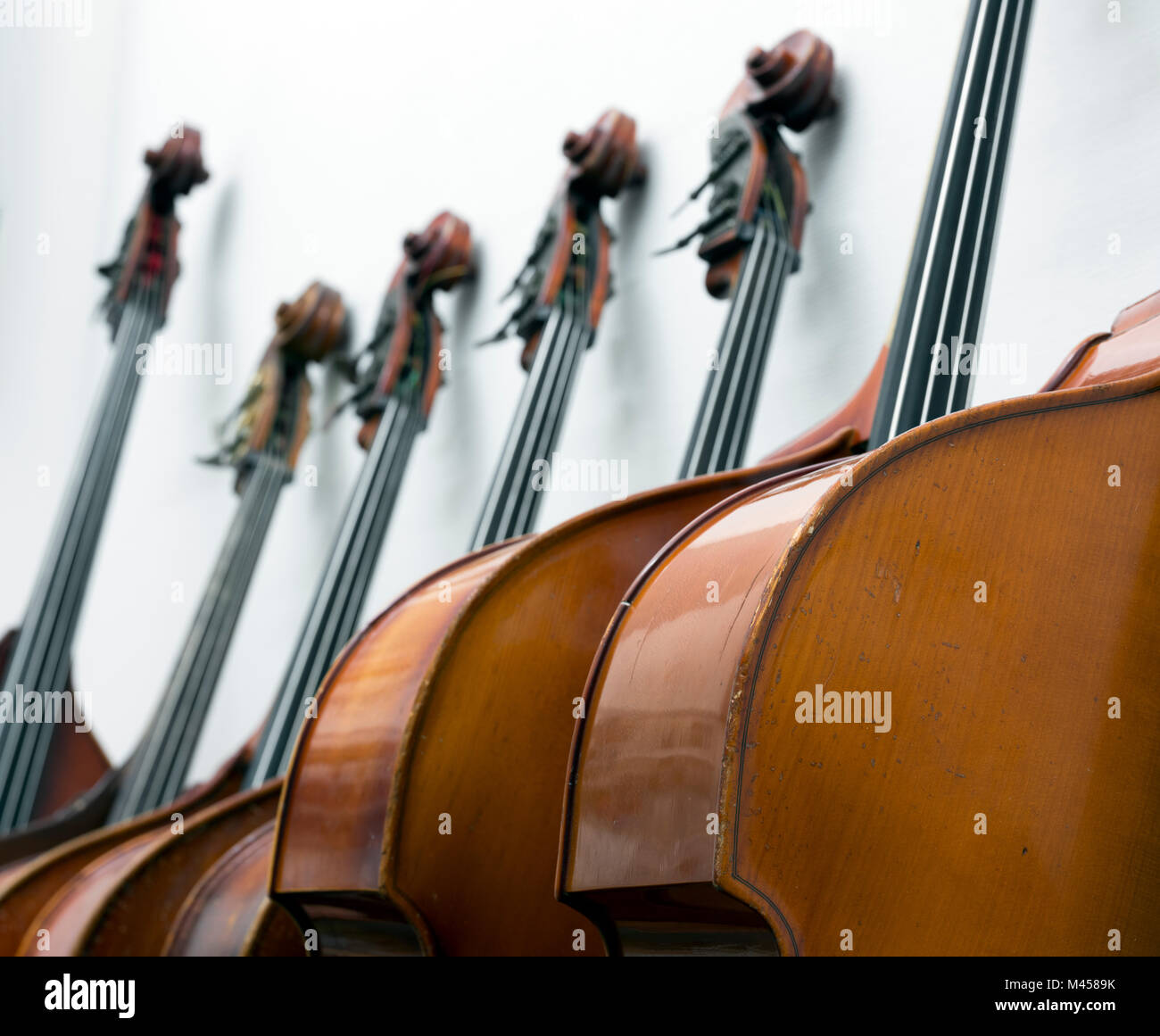 closeup of row of double basses resting against a wall Stock Photo - Alamy
