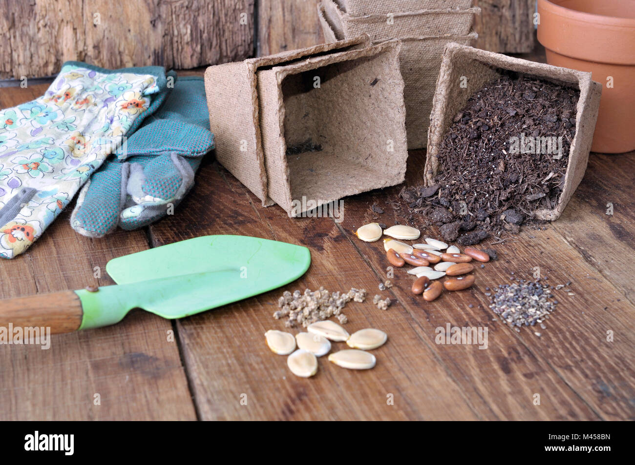 different seeds with peat bucket and shovel for seedling on wooden ...