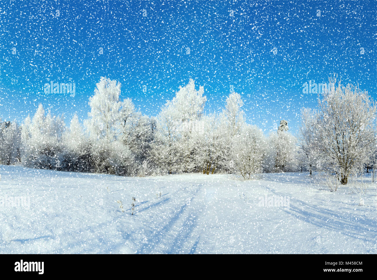Nature cold day ice park snow sunny winter hi-res stock photography and ...